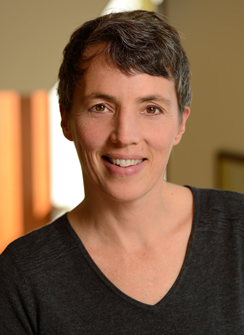 Society-to-Cells Resilience Theory | Nursology