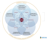 Theory Of Integrative Nurse Coaching Nursology