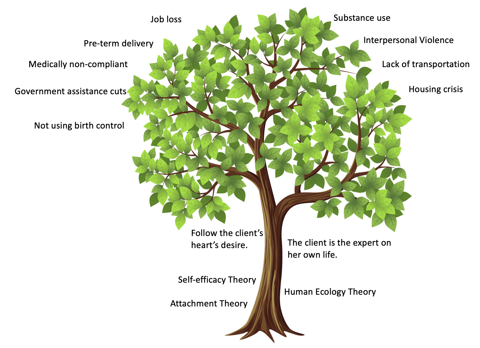 The Best Nursing Job: Fulfilling My “Why” in Nursing Through the Nurse ...